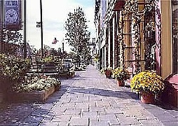 All About Milford Michigan